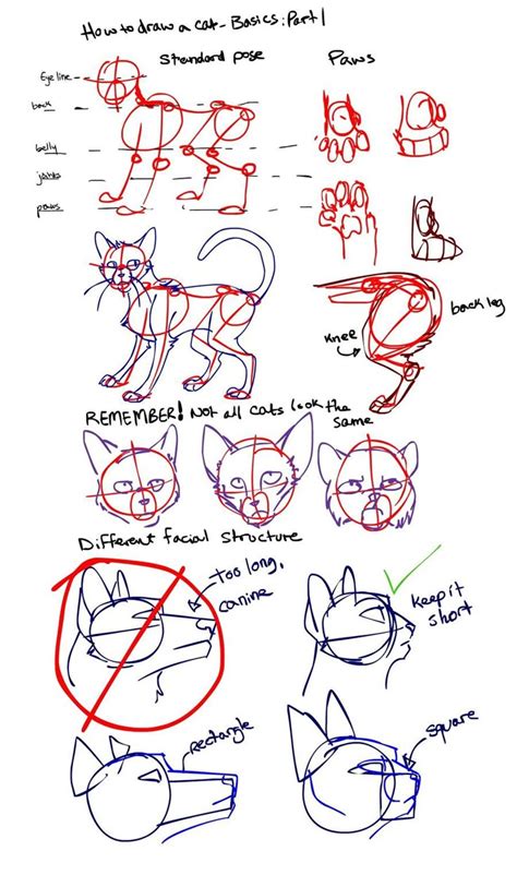 How To Draw A Cat Warrior
