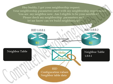 How Ospf Routers Build Adjacency Explained