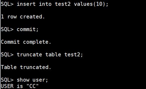 Oracle 12c 18c 19c安全审计规则 Audit Sys Operations Csdn博客