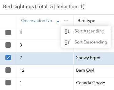 Featuretable Api Reference Arcgis Maps Sdk For Javascript Esri Developer