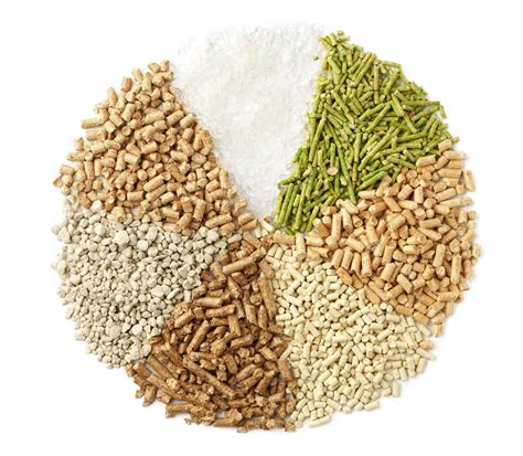 Premium Photo Different Types Of Cat Litter Close Up