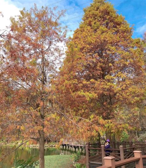 全家便利商店的虛擬禮物卡可以存手機app嗎？全家 Fami 錢包帳戶儲值禮物卡的錢，使用更方便 Windko 台韓遊趣