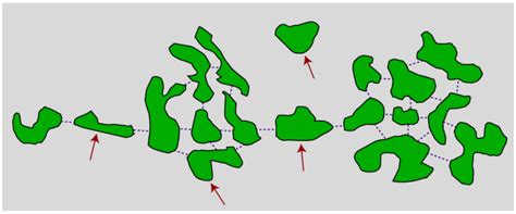 Schematic Diagram Of Landscape Connectivity Calculation Concept Download Scientific Diagram