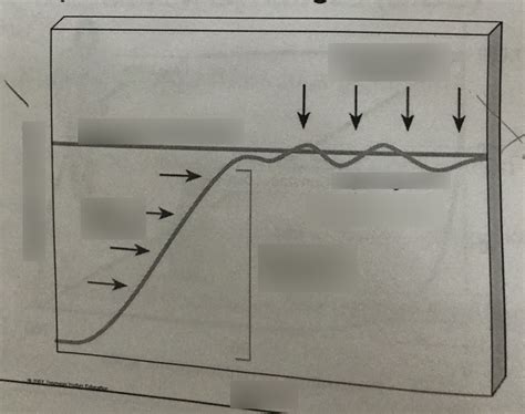 Bio 2 Diagram Diagram Quizlet