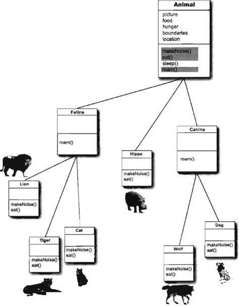 Java Fundamental Part 9 Inheritance And Polymorphism