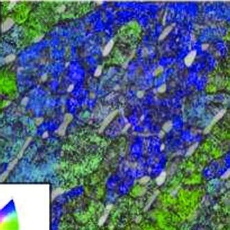 EBSD map acquired with a step size of μm to distinguish the r p and Download Scientific