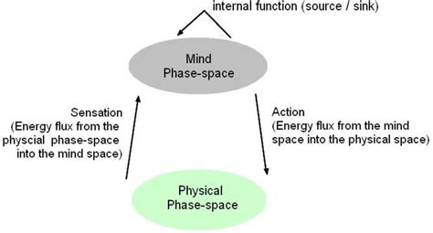 Figure 1 From Diffusion Based Modeling Of Human Brain Response To External Stimuli Semantic