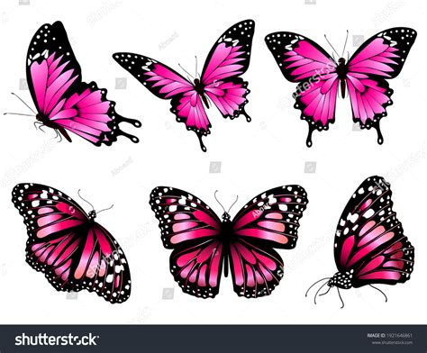 82982 Butterfly Pink Stock Vectors Images And Vector Art Shutterstock