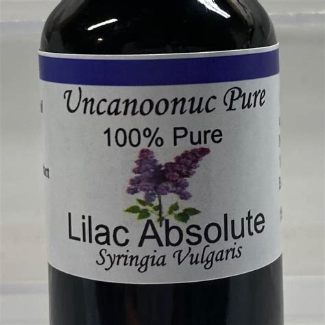 Lilac Essential Oil Etsy