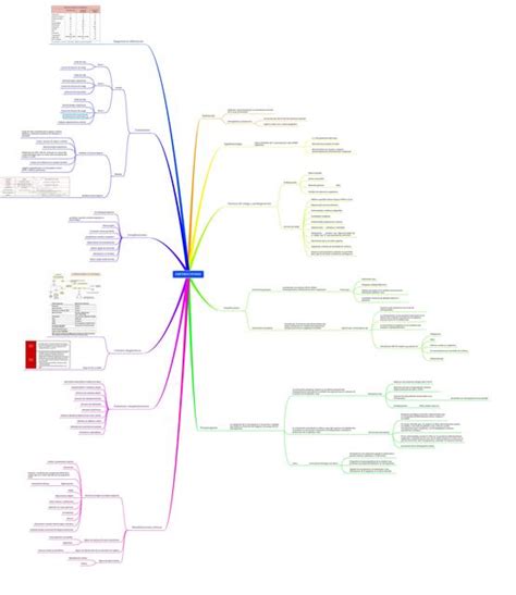 Eritrocitos Betty Nina Udocz
