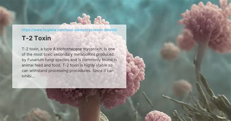 T 2 Toxin Hygiena