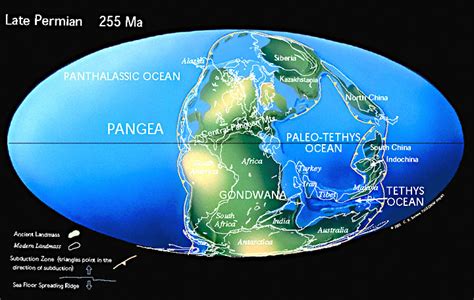 Discovering Fossils How Great Britain Formed