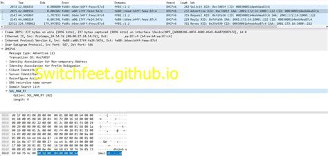 DHCPv SOL MAX RT Option Switchfeets Tech Note