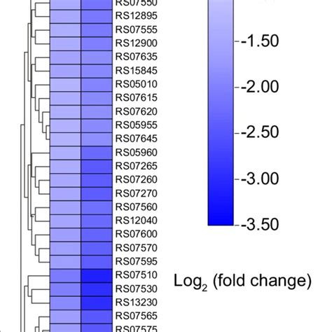 Sample Information Of The Transcriptomic Analysis Download