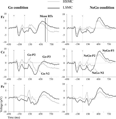 Stimulus Locked Event Related Potentials Grand Average Event Related Download Scientific