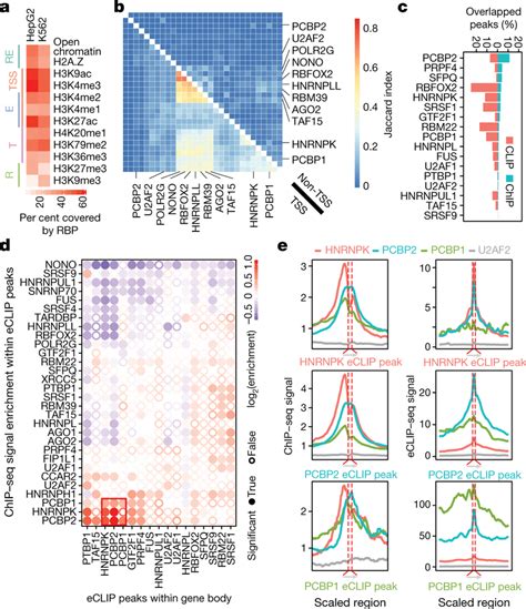 Chromatin Association Of Rbps And Overlap With Rna Binding A Overlap Download Scientific
