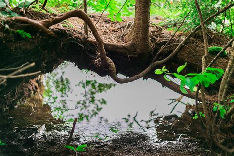 Img7137 Iva Markovic Photography Flickr