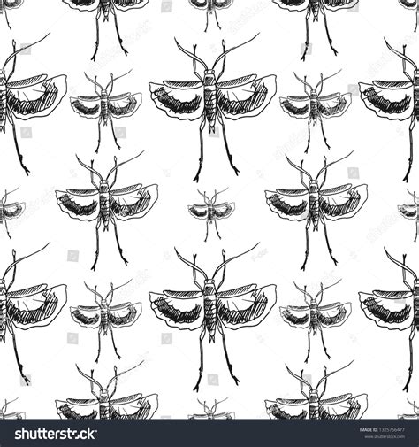 Grasshopper Seamless Pattern Isolated On White Stock Vector Royalty Grasshopper Seamless Pattern Isolated On White Stock Vector Royalty
