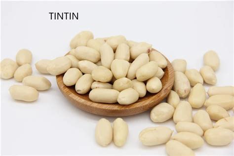 China High Quality Dried Chinese Peanut Kernels Blanched Nut Snack At Cheap Price Food Grade