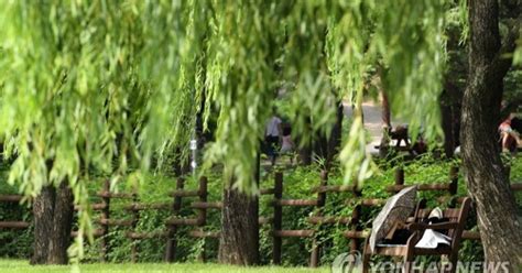 여름과 가을 사이