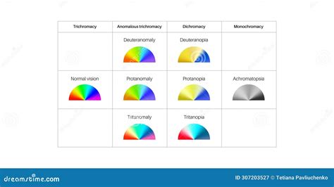 Color Blindness Poster Cartoon Vector 307203527