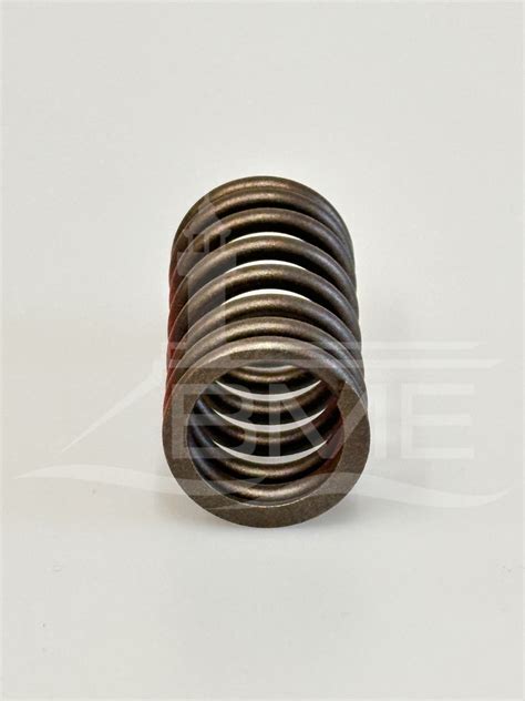 Fpt Engine Valvsprin 4895215 Bme