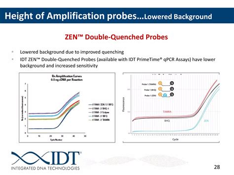 Troubleshooting Qpcr What Are My Amplification Curves Telling Me Pptx