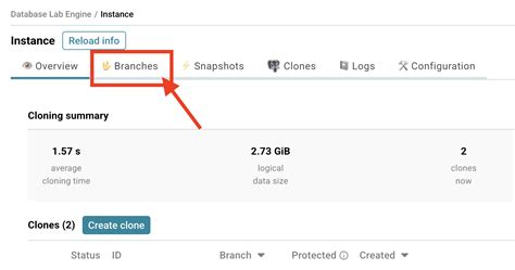How To Create A Database Branch Postgresai
