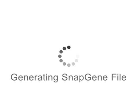 Navigating The Cre Lox Toolbox Vectorbuilder