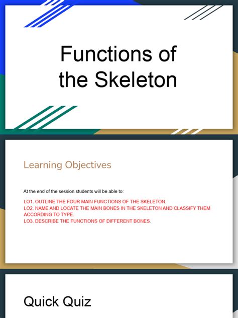 Functions Of The Skeleton And Types Of Bones 1 Pdf Bone Skeleton