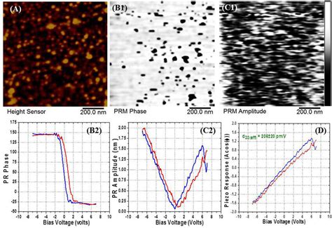 Pfm Of Sample S 60 A Height Scan B1 Piezo Response Phase Image
