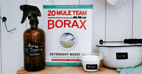 Four Borax Detergent Booster 4 Pound Boxes Just 12 Shipped On Amazon Only 3 Per Box