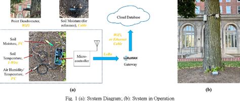 Figure 1 From A Lorawan Based Environmental Sensor System For Urban Tree Health Monitoring
