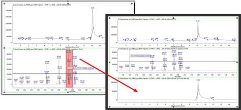 New Mass Chromatogram