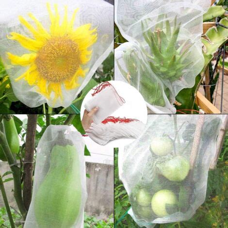 Lot De 50 Sacs En Filet Anti Insectes Filet De Jardin Protection En