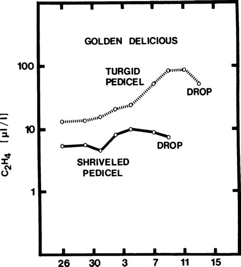Abscission Zone A And Breaking Point B Observed In Golden Download Scientific Diagram