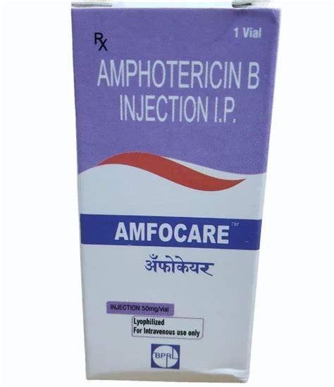 Amfocare Amphotericin B Injection 1 Vial At ₹ 4500box In Ahmedabad Id 2851962539191