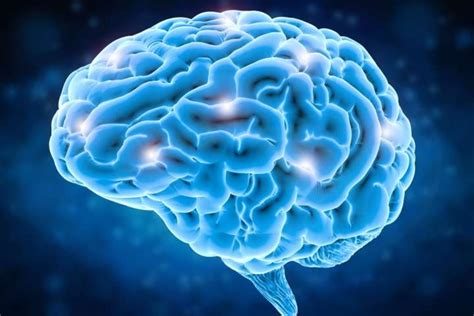 Deep Brain Stimulation During Sleep Strengthens Memory