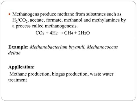 Methanogens Pptx