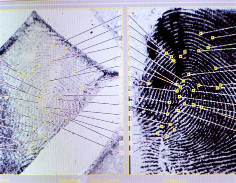 Fingerprint