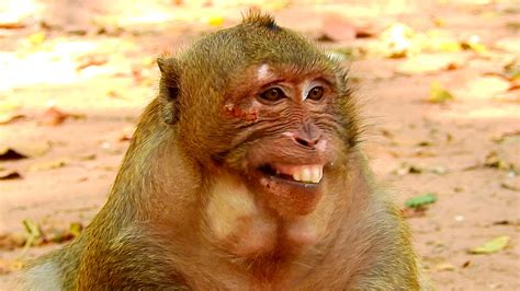 រស់ជាតិអារហារក្នុងព្រៃ មនុស្សប្រុសគួរតែចំណាយពេល៥នាទីដើម្បីអានវា