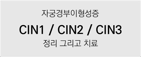 자궁경부이형성증 Cin1 Cin2 Cin3 단계별 정리 그리고 치료 네이버 블로그