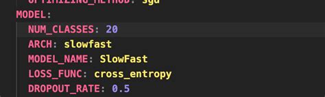 Training On New Dataset · Issue 162 · Facebookresearchslowfast · Github