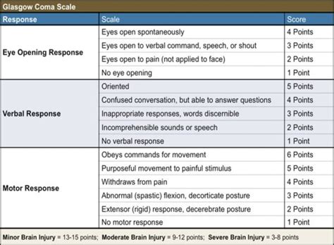 Glasgow Coma Score Gcs Dr Paul Mirdamadi Dds