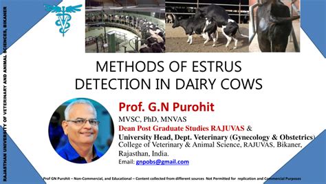 PDF METHODS OF ESTRUS DETECTION IN DAIRY COWS Prof GN Purohit Non Commercial And Educational