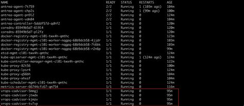 Monitoring Tkgs Cluster Using Vmware Aria Operations Vmattroman