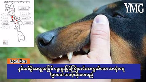 နှစ်သစ်ဦးအလှူအဖြစ် ခွေးရူးပြန်ကြိုတင်ကာကွယ်ဆေး အလုံးရေ ၉၀၀၀ အခမဲ့ထိုးပေးမည် Youtube