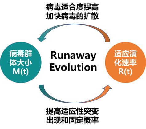 生命科学学院陆剑课题组揭示冠状病毒spike蛋白演化规律