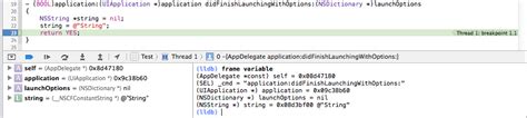 Xcode Dynamically Accessing Local Variables In Objective C Runtime
