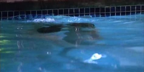 Kim Domingo Sex Scandal Tnaflix Com